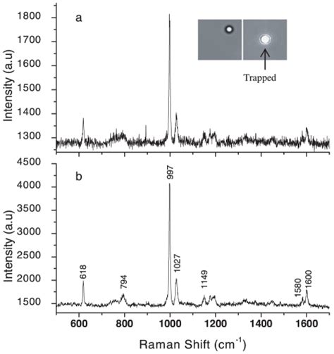 Raman Spectra Of A Polystyrene Bead Trapped At ∼5 Mw Power And Raman