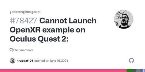 Cannot Launch Openxr Example On Oculus Quest 2 · Issue 78427
