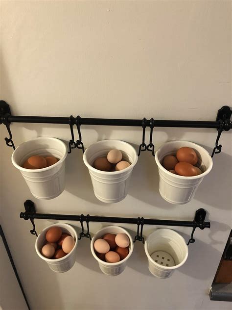 ТОП 10 цікавих фактів про яйця БЛОГ