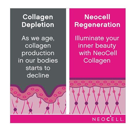 Коллаген Neocell Super Collagen+C Type 1 & 3, 6000 mg., 250 капсул, США ...