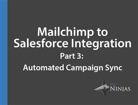 3 Mailchimp To Salesforce Integration Campaign Sync Blu Ninjas