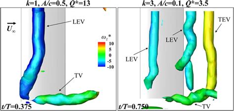 Deformation Of The Tip Vortex For Two Cases For Interpretation Of The
