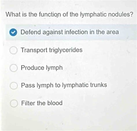 Solved What Is The Function Of The Lymphatic Nodules Defend Against Infection In The Area Solved What Is The Function Of The Lymphatic Nodules Defend Against Infection In The Area
