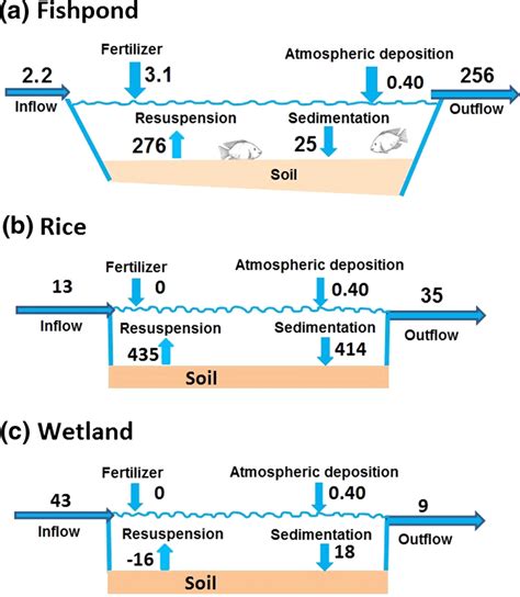 Estimated Sediment G M⁻² Day⁻¹ Fluxes For Different Processes In