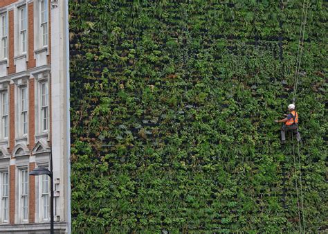 Londons Largest Living Wall Will Combat Flooding