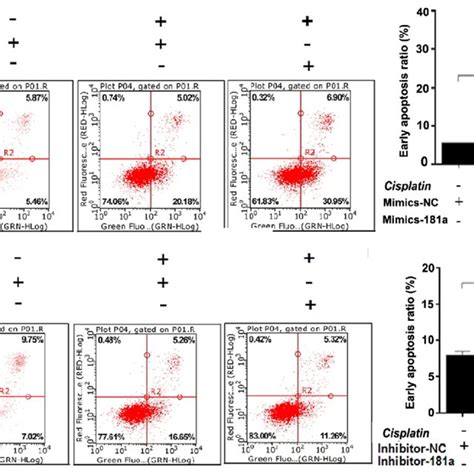 Hs578t As A Cell Model For Experiments A Relative Expression Of Download Scientific Diagram