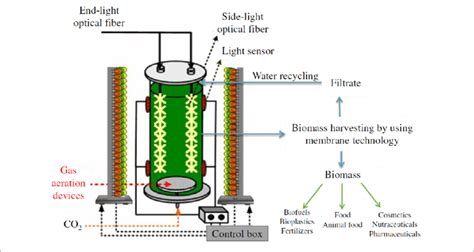 Experimental Set Up Schematization Download Scientific Diagram