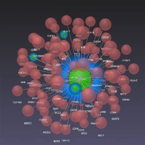 TF Gene Interaction Among The Common Gene Download Scientific Diagram