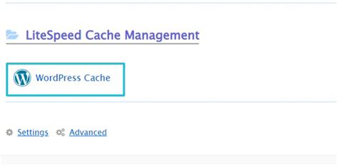 How To Enable LiteSpeed Web Cache Manager On CPanel
