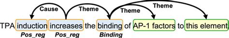 Biomedical Event Extraction A Simple Example Of Biomedical Event