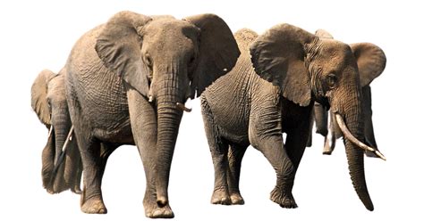 Disrupt Development 1 Innovation Academy