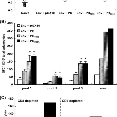Processing Of Hiv Gag Polyprotein By Hiv Protease Or Its Derivatives