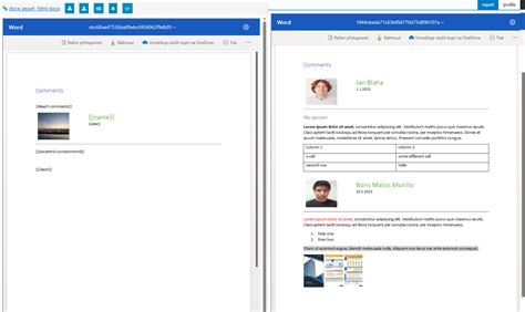 Html Embedded In Docx