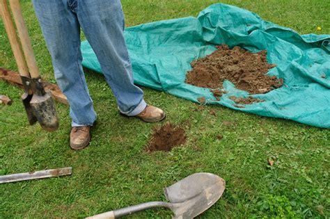 Redwoodshire Learning To Grow Growing To Learn Raspberry Trellis