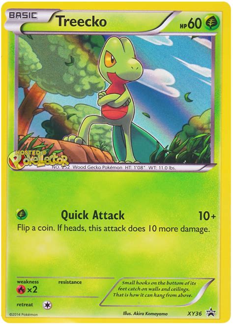 Treecko XY Promos 36 Pokemon Card