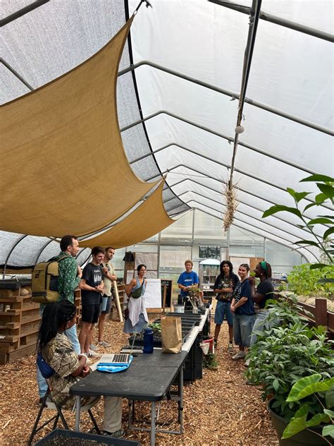 Urban Future Lab On Linkedin 💚🐟🥬 Urban Future Lab Nyu Tandon School Of
