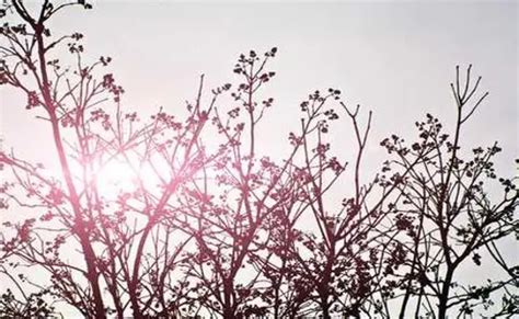 기아 소렌토 하이브리드 유지비와 연비 라이프 스텝 고