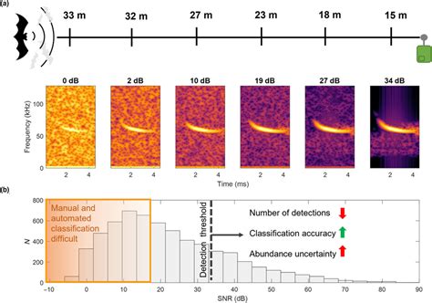 A The Signal‐to‐noise Ratio Snr Of The Same Bat Call Received