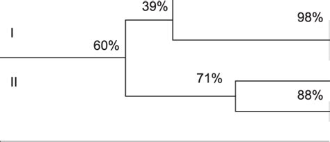 Dendrogram Showing Genetic Relatedness Of P Multocida Isolates