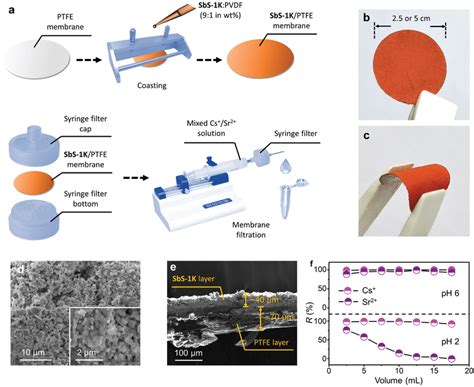 A Schematic Illustration Of The Membrane Fabrication Process And The