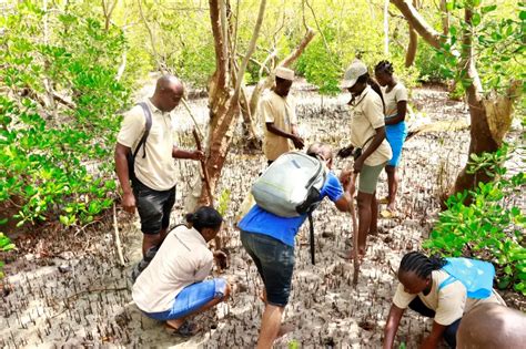 Sustainability Commitment Ultimate Africa Expeditions