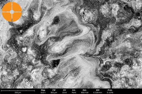 Unlocking New Dimensions 3d Surface Visualization With Scanning Electron Microscopy