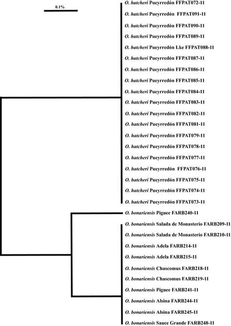 Maximum Composite Likelihood Model Tree Based On Cytochrome Oxidase I