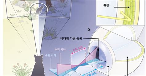 Gist 서울대 고양이 눈 구조 모방 객체인지능력 향상 카메라 개발