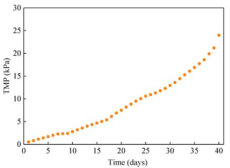 Investigation Into The Novel Microalgae Membrane Bioreactor With