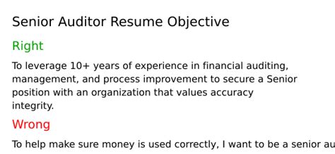 Top 16 Senior Auditor Resume Objective Examples ResumeCat