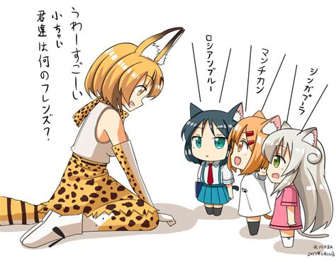 Nyanko Friends Kemono Friends Know Your Meme