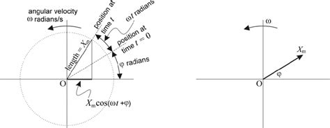 Rotating Phasor Whose Projection On The Horizontal Axis Is í µí°±í
