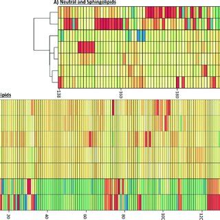 Unidirectional Hierarchical Clustering Of Significant Lipid Species A