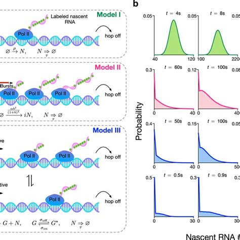 Ann Aided Stochastic Model Approximation Of Various Models Of Download Scientific Diagram