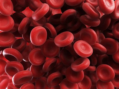 Donor Age Not Donor Sex Is The Primary Factor Influencing Rbc Deformability Transfusion News