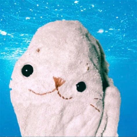 Shirotan No Seikatsu Youtube