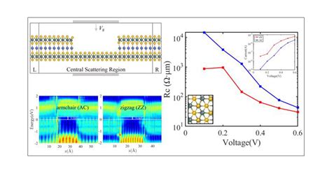Anisotropic Low Schottky Barrier And Transport Properties Of The Co Intercalated Bilayer Sns2