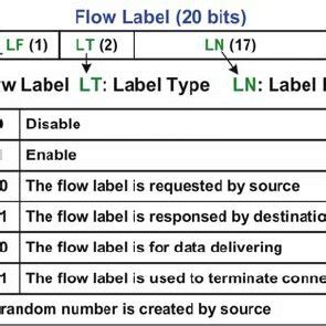 Packet Header Differences Between IPv And IPv Download Scientific Diagram