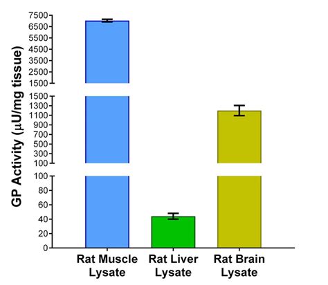 Glycogen Phosphorylase Activity Assay Kit Fluorometric Ab308153 Abcam