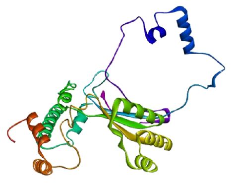 3d Structure Of The Designed Vaccine Construct Download Scientific