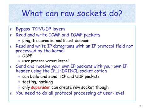 Ppt Introduction To Raw Sockets Powerpoint Presentation Free Download Id 3497422
