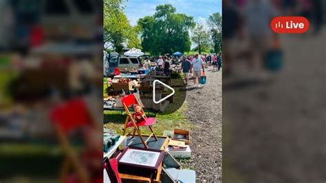 Pennis Livestream On Whatnot