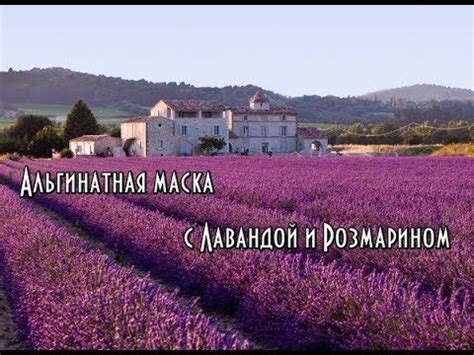 Альгинатная маска всем известна своими свойствами. Она омолаживает кожу ...