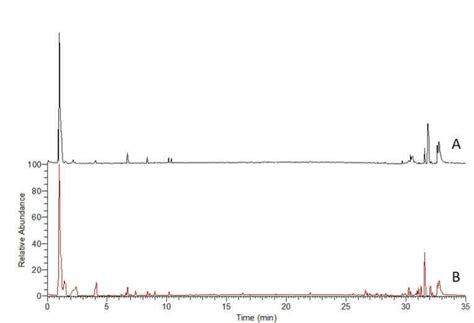 UHPLC Q Orbitrap HRMS Chromatogram Of Stem A And Leaves B Extracts Download Scientific