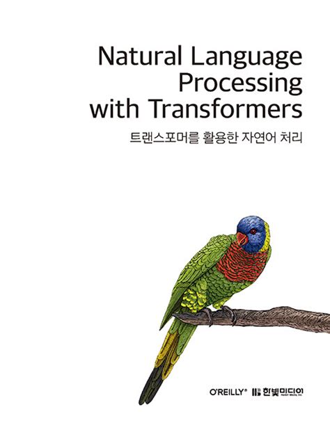 트랜스포머를 활용한 자연어 처리 루이스 턴스톨레안드로 폰 베라토마스 울프 알라딘