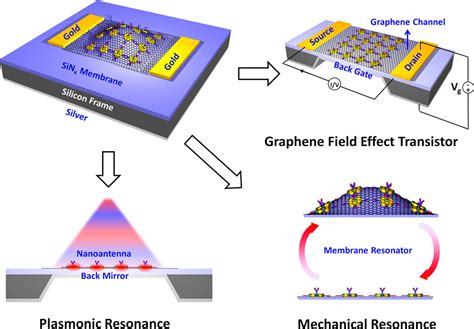 Graphene Field Effect Transistor And Its Application For Electronic Sensing At Erik Cox Blog