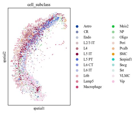Reconstructing Spatial Coordination For Mouse Brain Cortex — Stsci 0 1