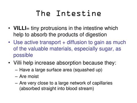 PPT AQA Biology GCSE B PowerPoint Presentation Free Download ID