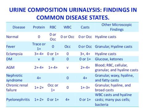 Clin Lab Urinalysis Part 2 And Csf Flashcards Quizlet