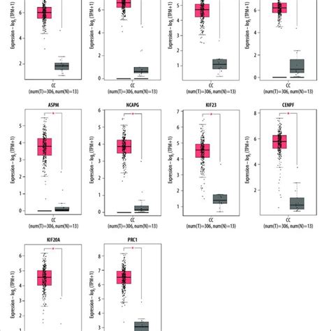 Boxplot Graphs Showing The Expression Levels Of Hub Genes In Normal